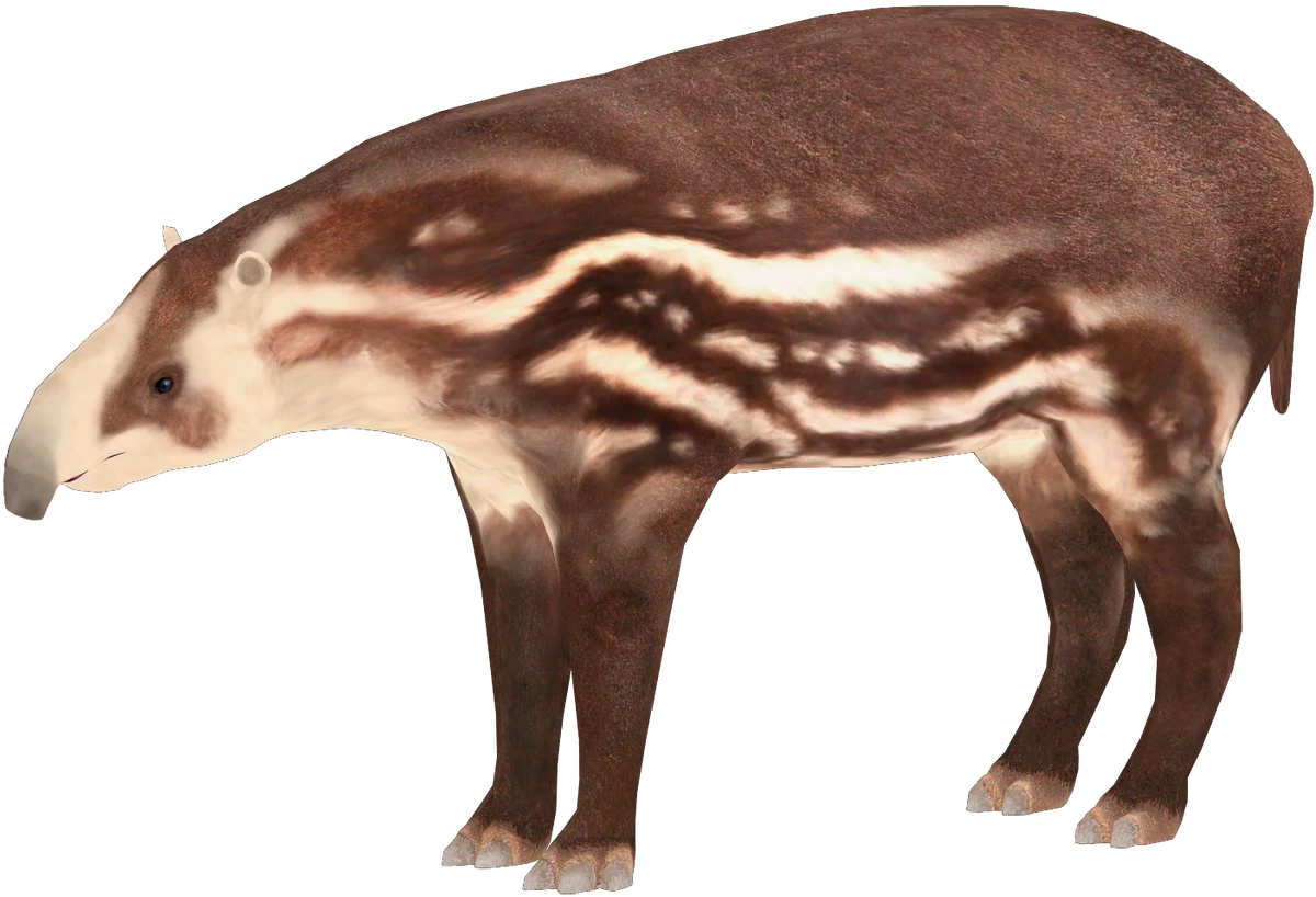 Japanese tapir (SciiFii) | Fanon Wiki | Fandom