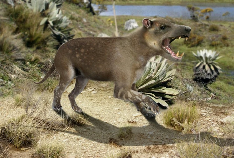 RatDog | Fanon Wiki | Fandom