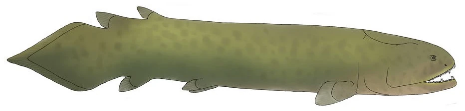 Rhizodus (SciiFii) | Fanon Wiki | Fandom
