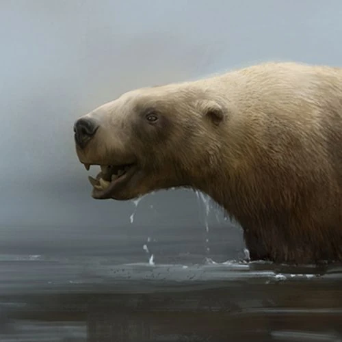 Sea Bear | Fanon Wiki | Fandom