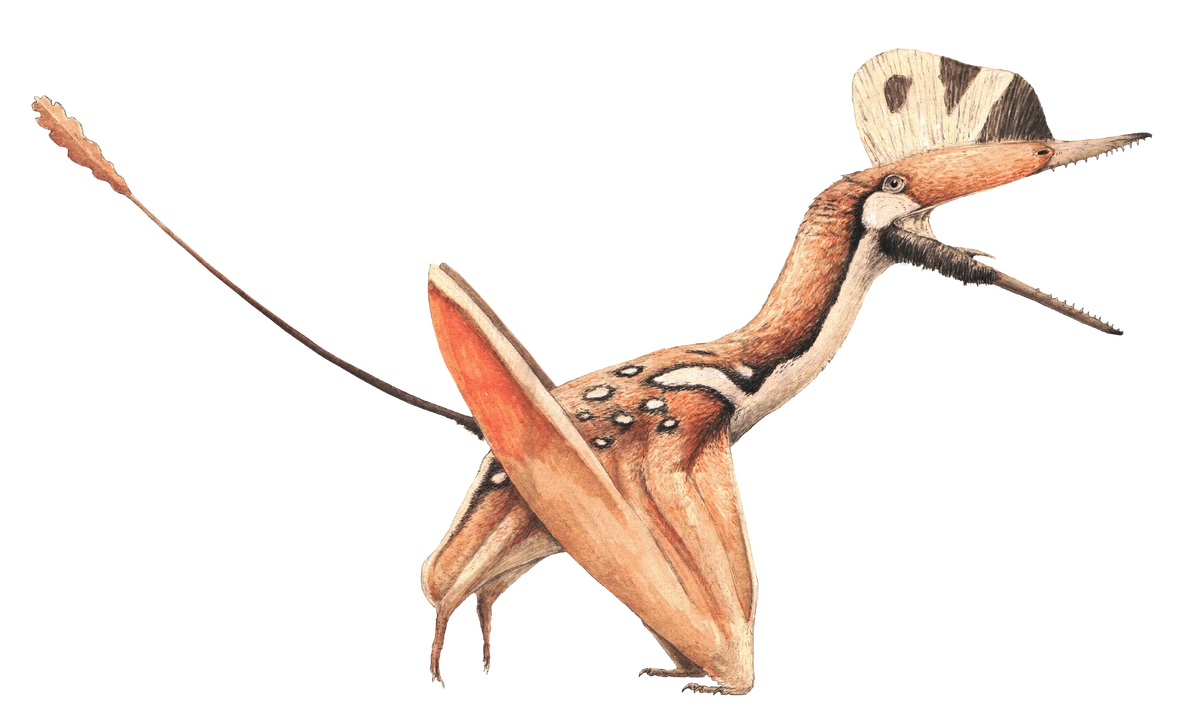 Darwinopterus V3 (SciiFii) | Fanon Wiki | Fandom