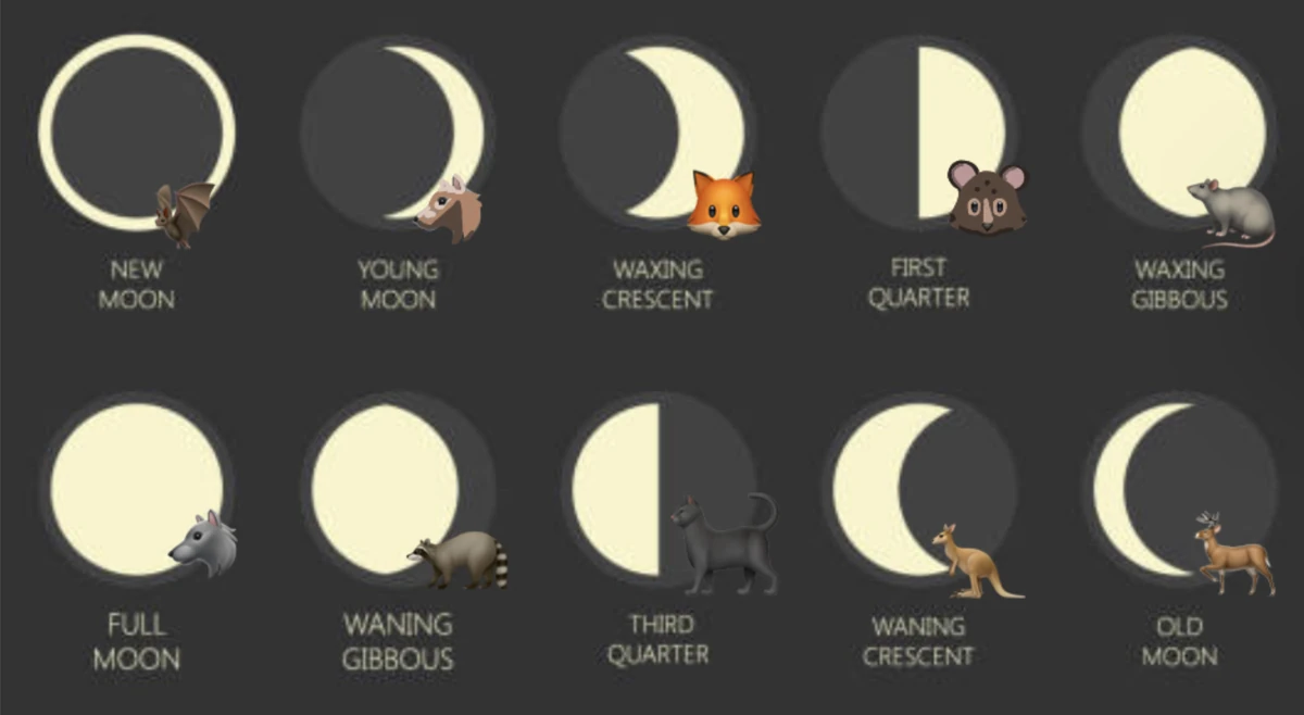 Wereanimals | Fanon Wiki | Fandom