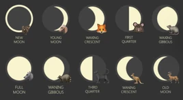 Wereanimals | Fanon Wiki | Fandom