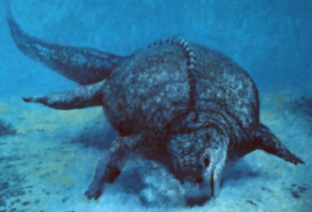 Placodus (SciiFii) | Fanon Wiki | Fandom