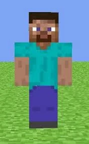 Steve | Minecraft Fanon Wiki | Fandom