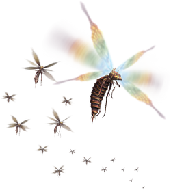 Vespoid Queen | FanonMonsterHunter Wikia | Fandom