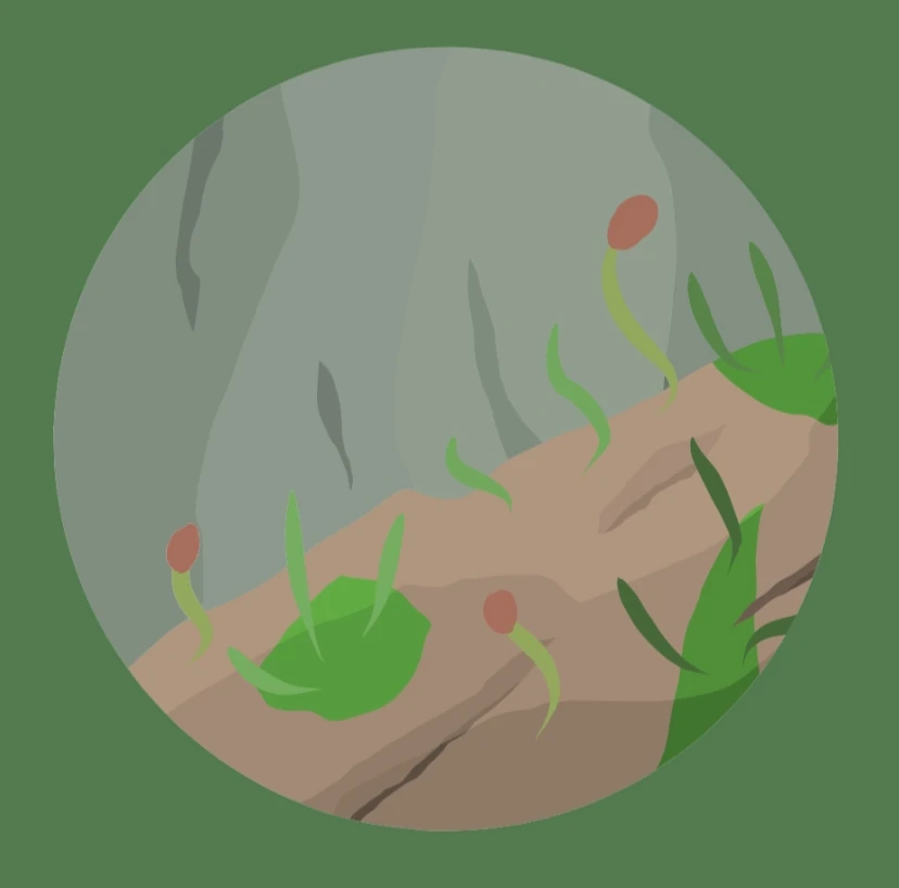 Decay Overgrowth | FanonMonsterHunter Wikia | Fandom