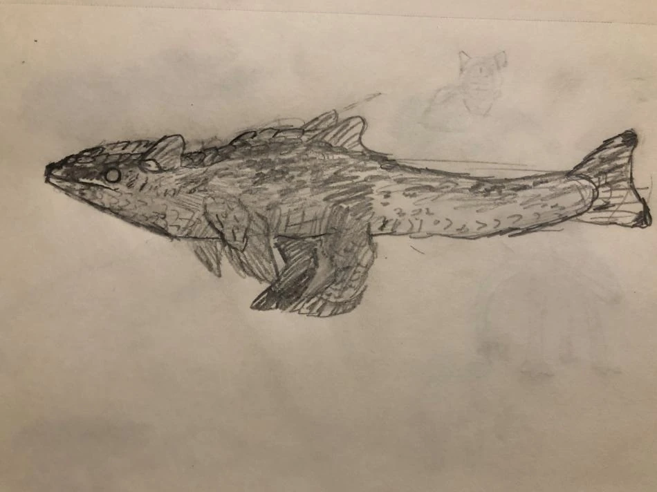 Razhomera | FanonMonsterHunter Wikia | Fandom