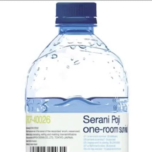 Pipo Pipo/Dachi→Forever | Project Sekai Fanon Wiki | Fandom