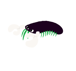 Scorlic | Fansnax Wiki | Fandom