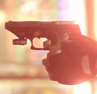 Wing Shooter | Wiki Resident Evil | Fandom