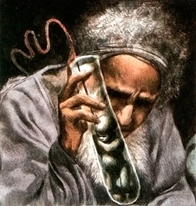 Homúnculo | Wikia Fantasia y Mitologia Wiki. | Fandom