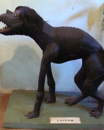 Luison | Fantastipedia | Fandom