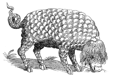 Catoblepas | Fantastipedia | Fandom