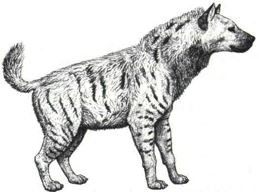 Chemosit | Fantastipedia | Fandom