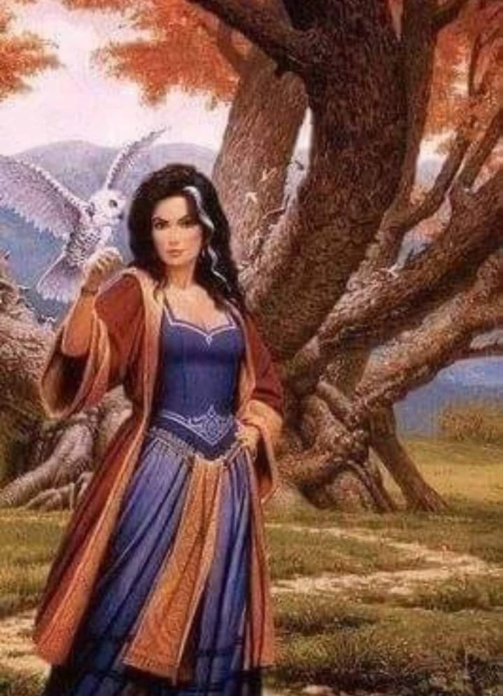 Dona Figueira | Fantastipedia | Fandom