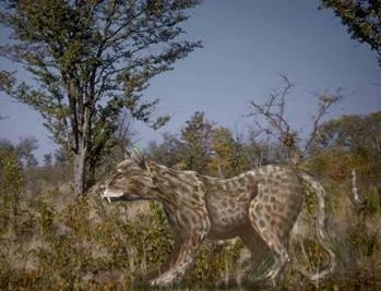 Mngwa | Fantastipedia | Fandom