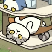 Okko | Fantastic Cats Wiki | Fandom