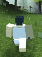 Advanced Rapier | Fantastic Frontier Roblox Wiki | Fandom