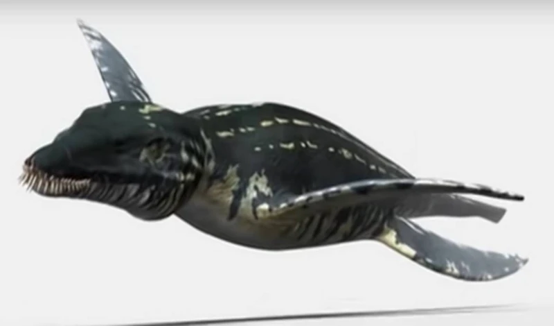 Liopleurodon | Fantasy World of Dinolria Wiki | Fandom