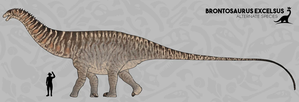 Brontosaurus | Fantasy World of Dinolria Wiki | Fandom