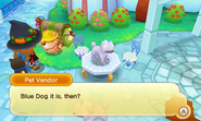 Pets | Fantasy Life Wiki | Fandom
