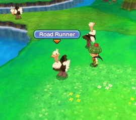 Road Runner | Fantasy Life Wiki | Fandom