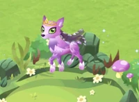 Royal Roe | Fantasy Forest Story Wiki | Fandom