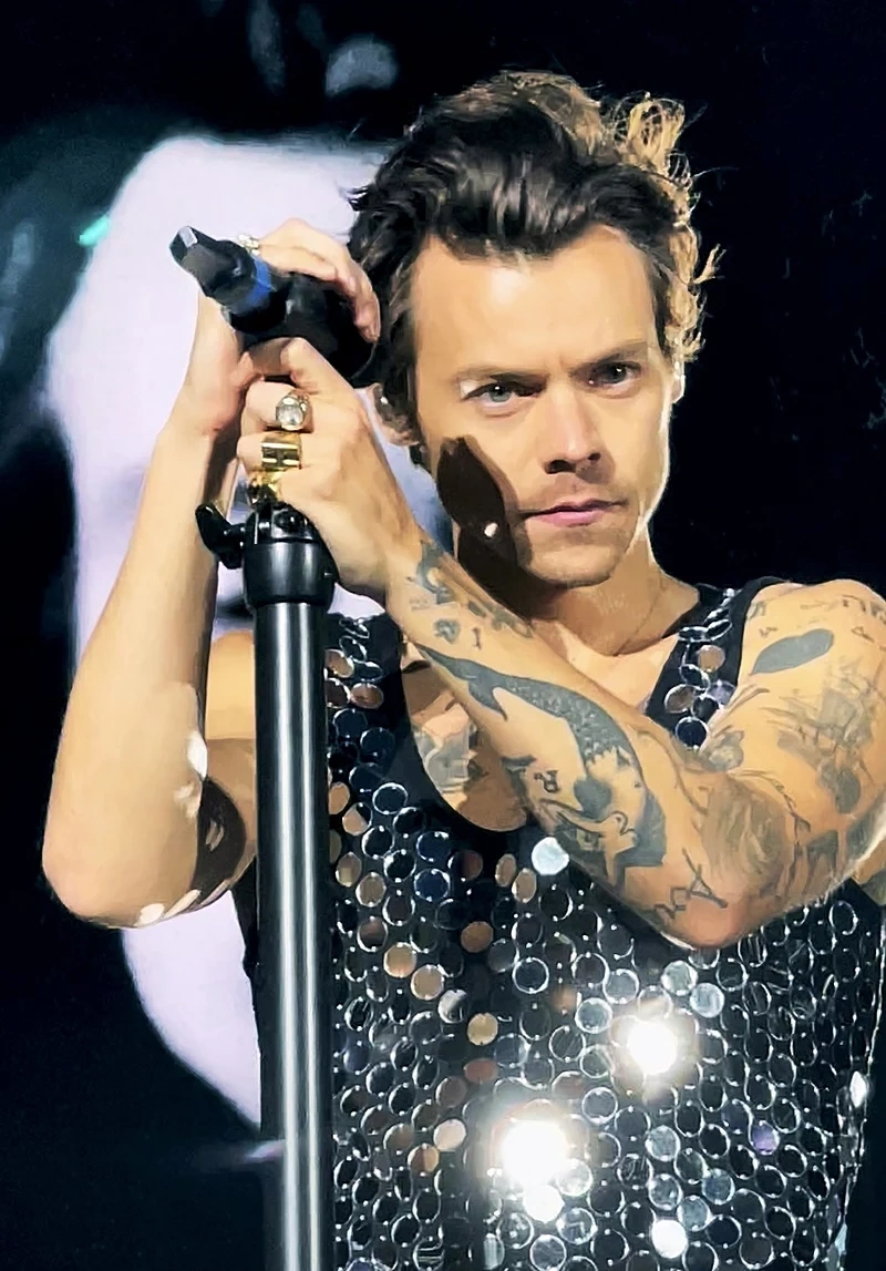 Harry Styles | Fantasy Voice Wiki | Fandom