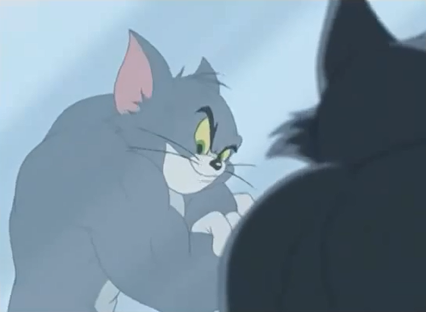 Tom Cat | Fantasy & Fiction Wikia | Fandom