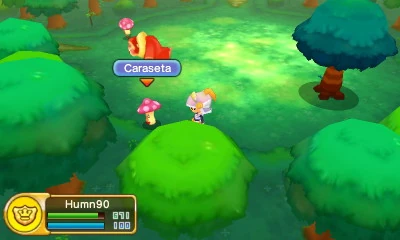 Caraseta | Wiki FantasyLife Esp | Fandom