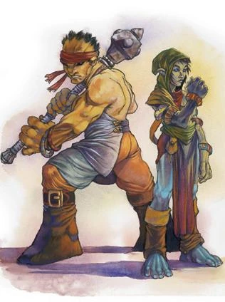 Earthsoul genasi | Fantasy Races Wiki | Fandom