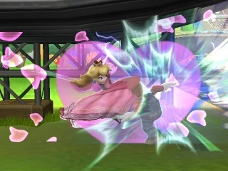 Peach Bomber (SSBGA) | Fantendo - Game Ideas & More | Fandom