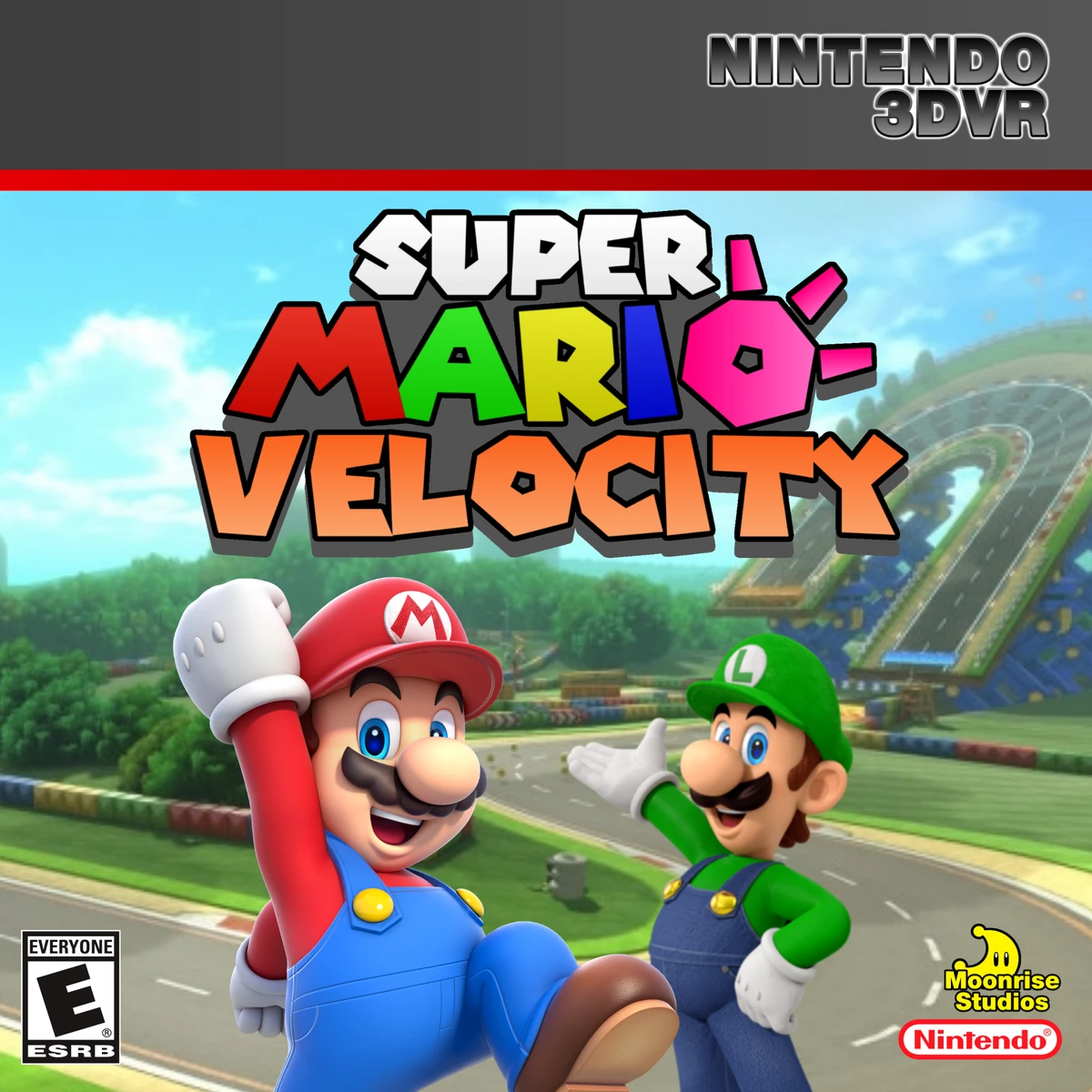 Super Mario Velocity | Fantendo - Game Ideas & More | Fandom