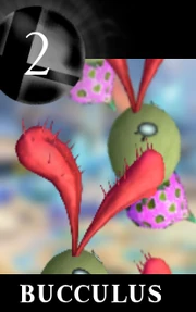 Super Smash Bros. Spirit Cards | Fantendo - Game Ideas & More | Fandom