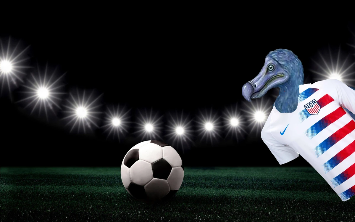 DoomSport the Dodo | Fantendo - Game Ideas & More | Fandom