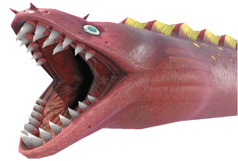 Maw-Ray of the Deep | Fantendo - Game Ideas & More | Fandom