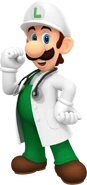Dr. Fire Luigi | Fantendo - Game Ideas & More | Fandom