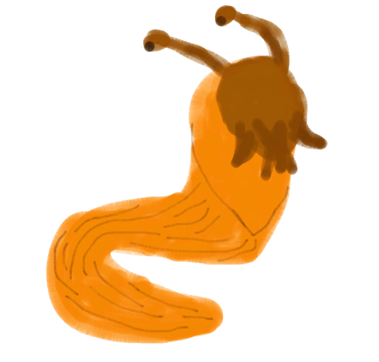 Slime the Slug | Fantendo - Game Ideas & More | Fandom