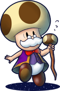Toadsworth | Fantendo - Game Ideas & More | Fandom