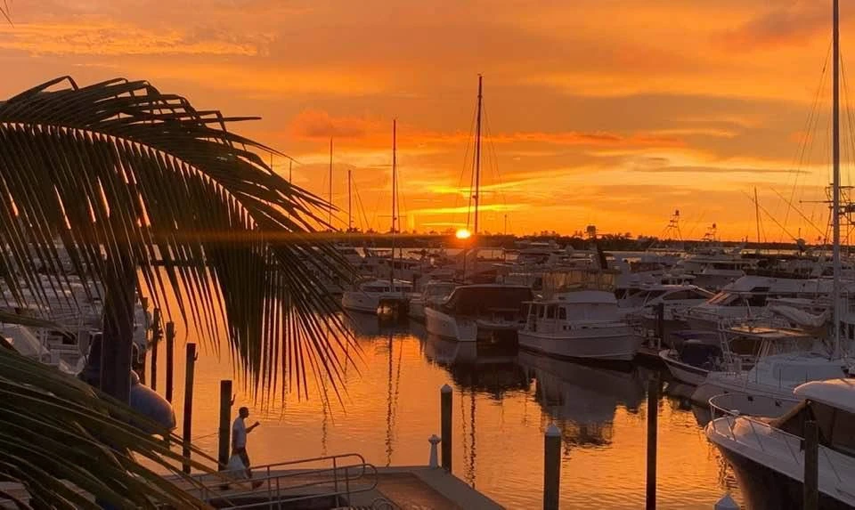 Category:Super Smash Bros. Galactic Battle Stages | Fantendo - Game ...