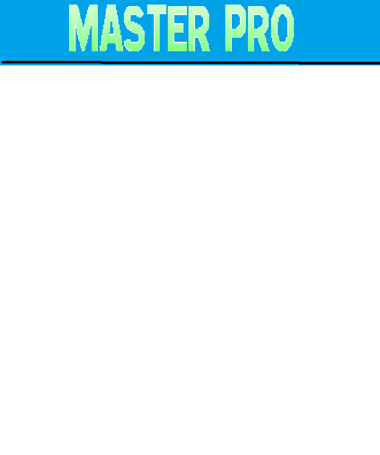 Master Pro | Fantendo - Game Ideas & More | Fandom