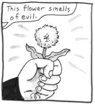 Dandy flower | Fantolowiki Wiki | Fandom