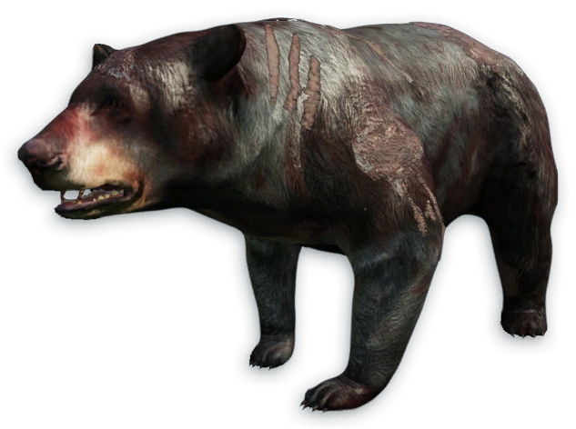 Orso immortale | Far Cry Wiki | Fandom