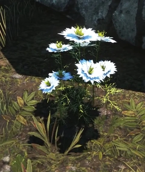 Piante e Foglie (Far Cry 4) | Far Cry Wiki | Fandom