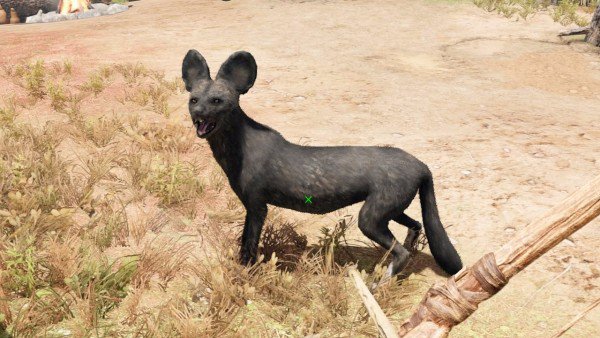 Perro Salvaje Negro Raro Far Cry Primal Cosas Unicas Wiki Fandom