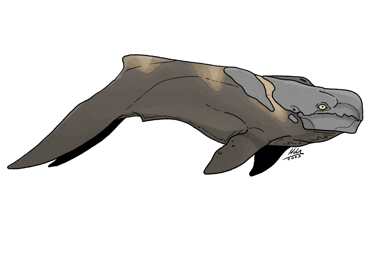 Fracturga Whale | Legends of the Aether Wiki | Fandom