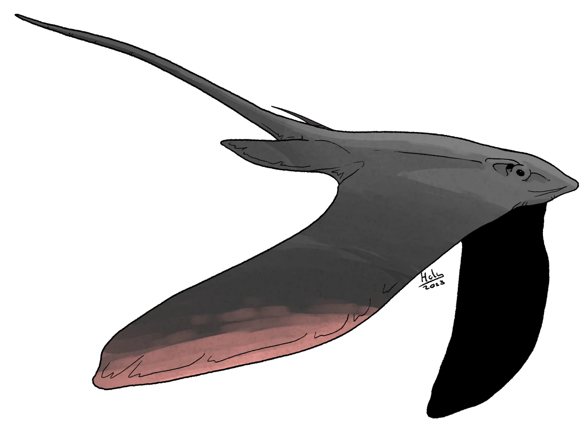 Sailwing | Legends of the Aether Wiki | Fandom