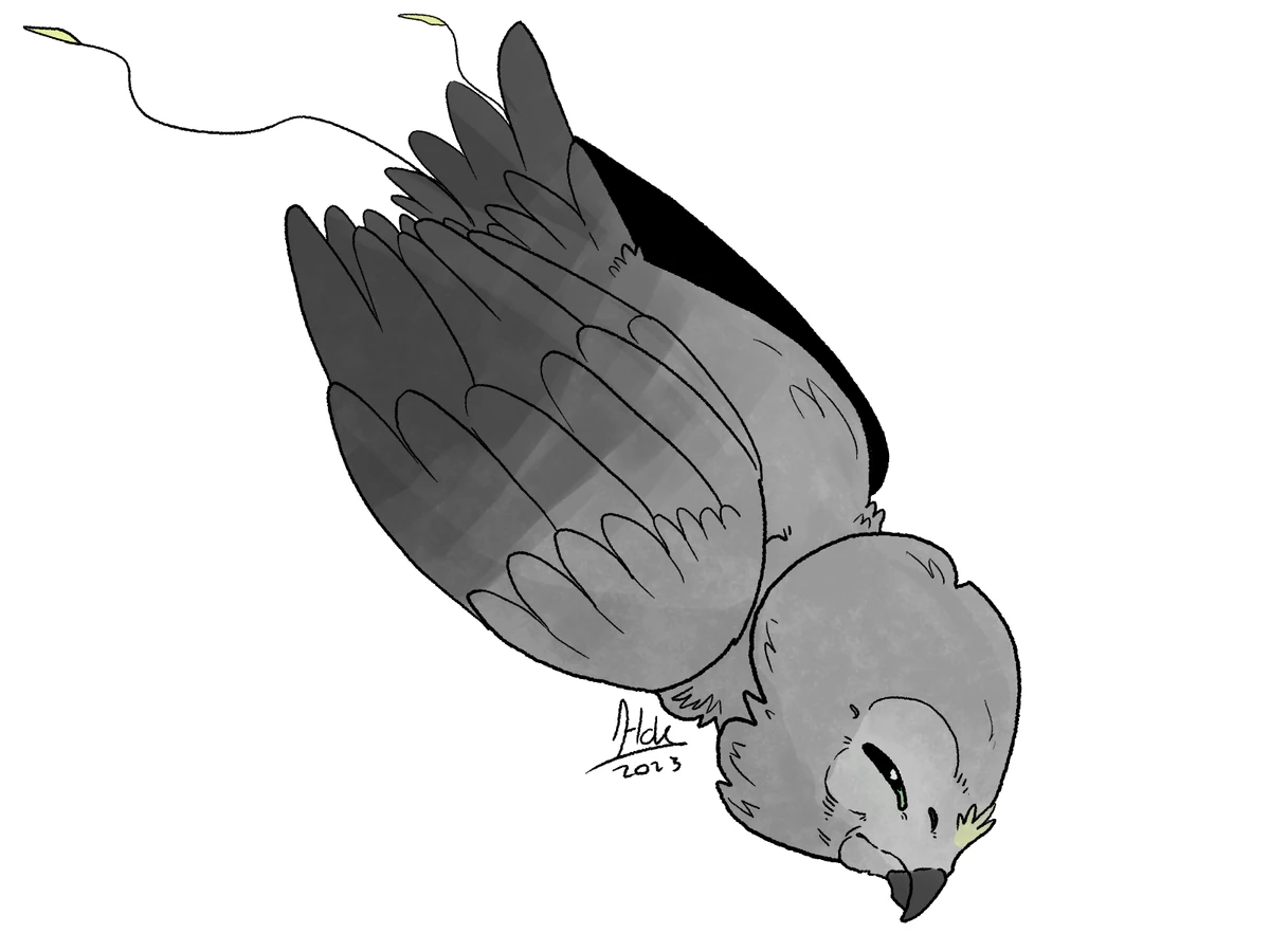 Buata | Legends of the Aether Wiki | Fandom