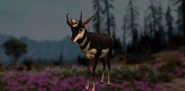Far Cry New Dawn animals | Far Cry Wiki | Fandom
